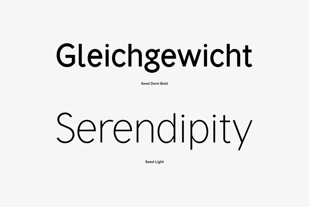 Seed Font - YouWorkForThem