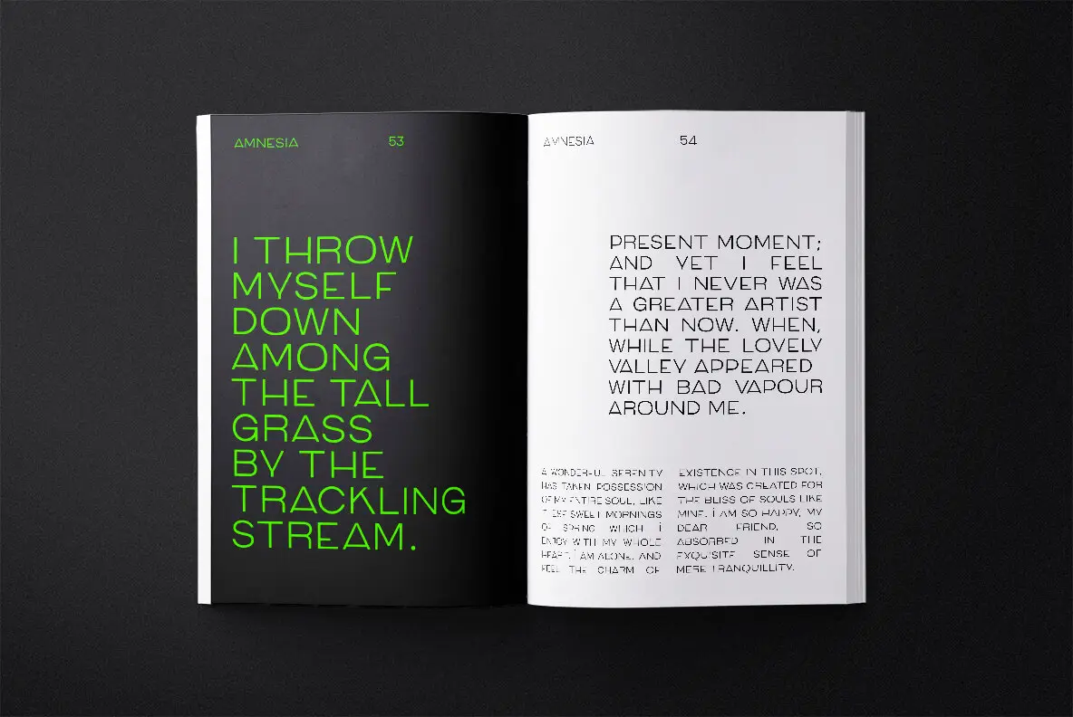 Mango Grotesque Font - FontPath