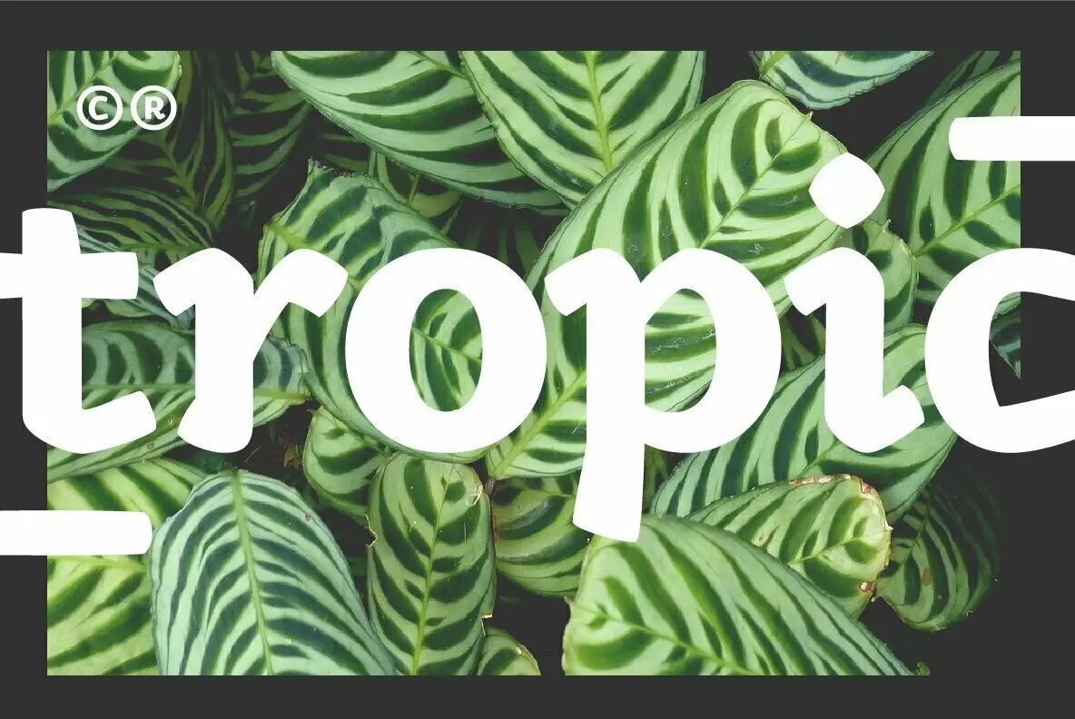Kamado Font - YouWorkForThem