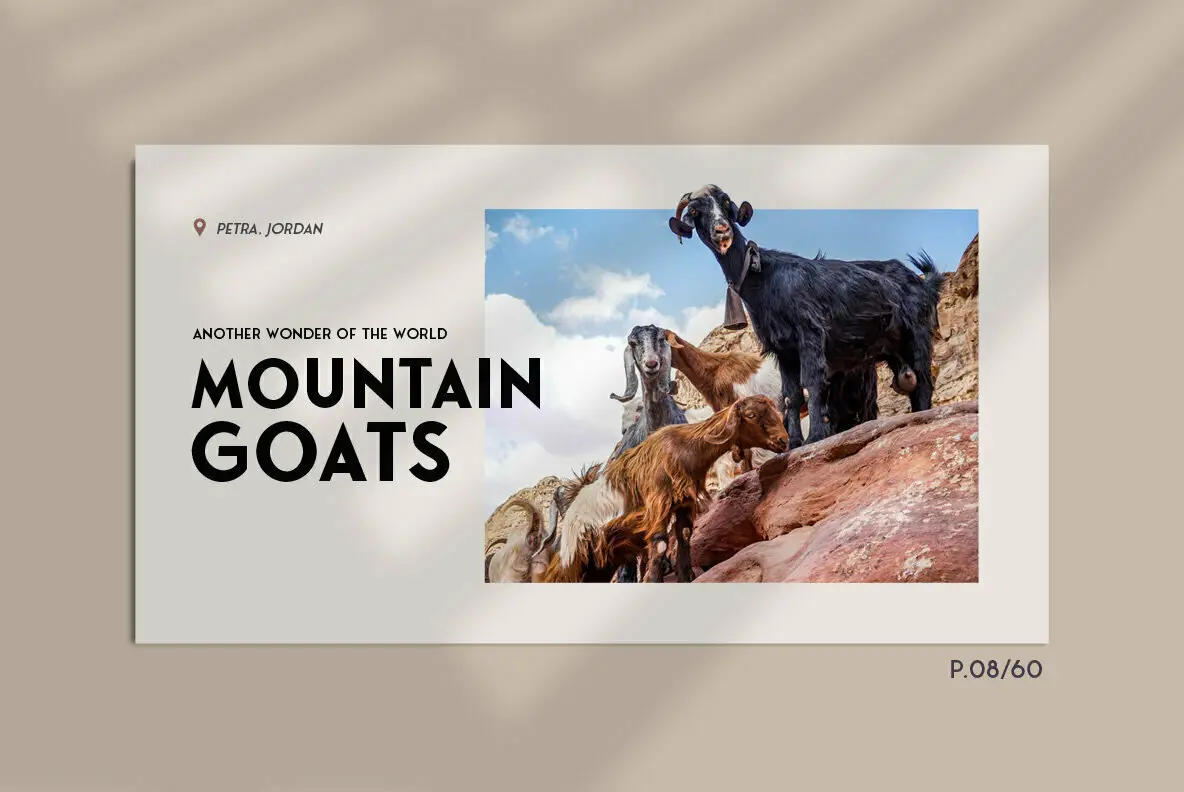 Fonseca Font - FontPath