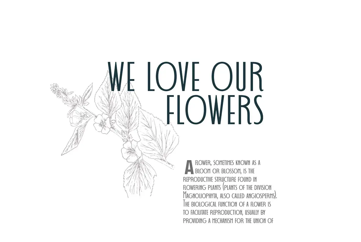 Decohead Typeface Font - YouWorkForThem