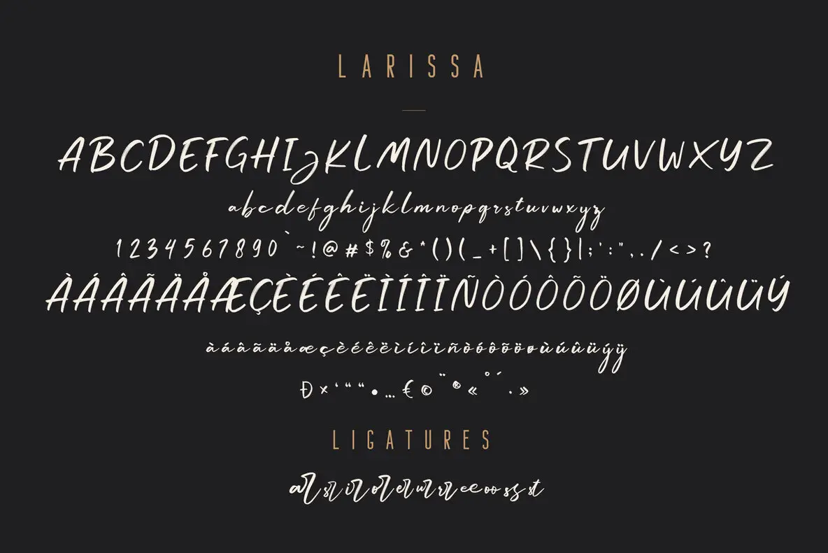 Larissa Font - YouWorkForThem