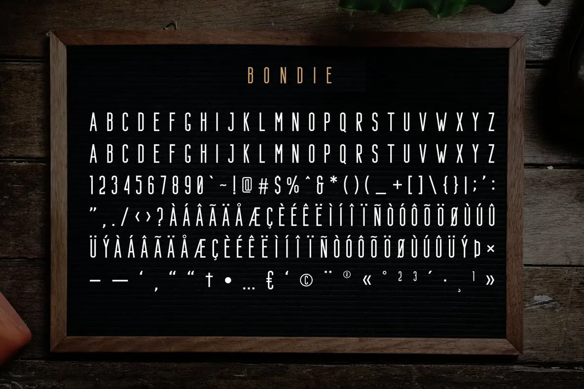 Larissa Font - YouWorkForThem