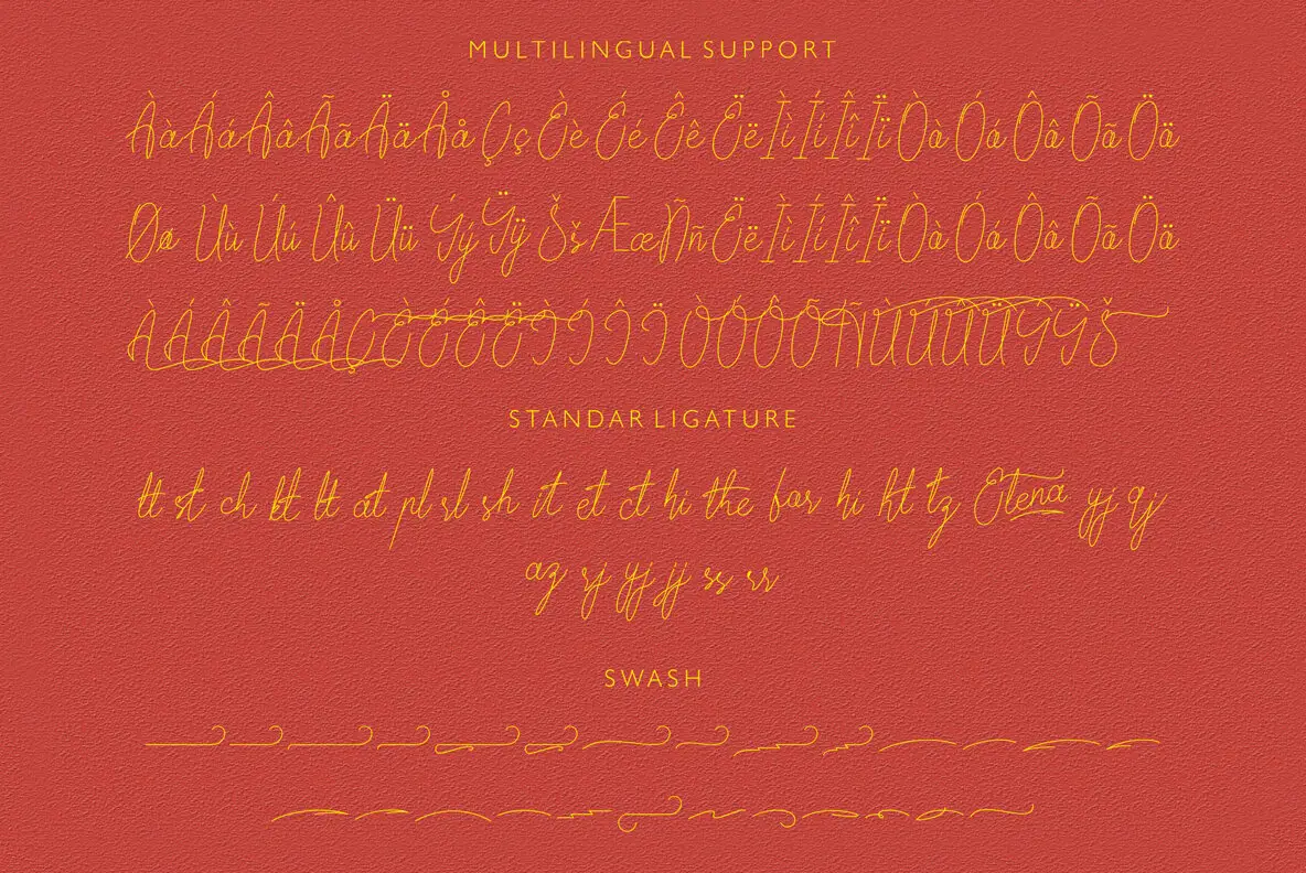 Elena Script Font - YouWorkForThem