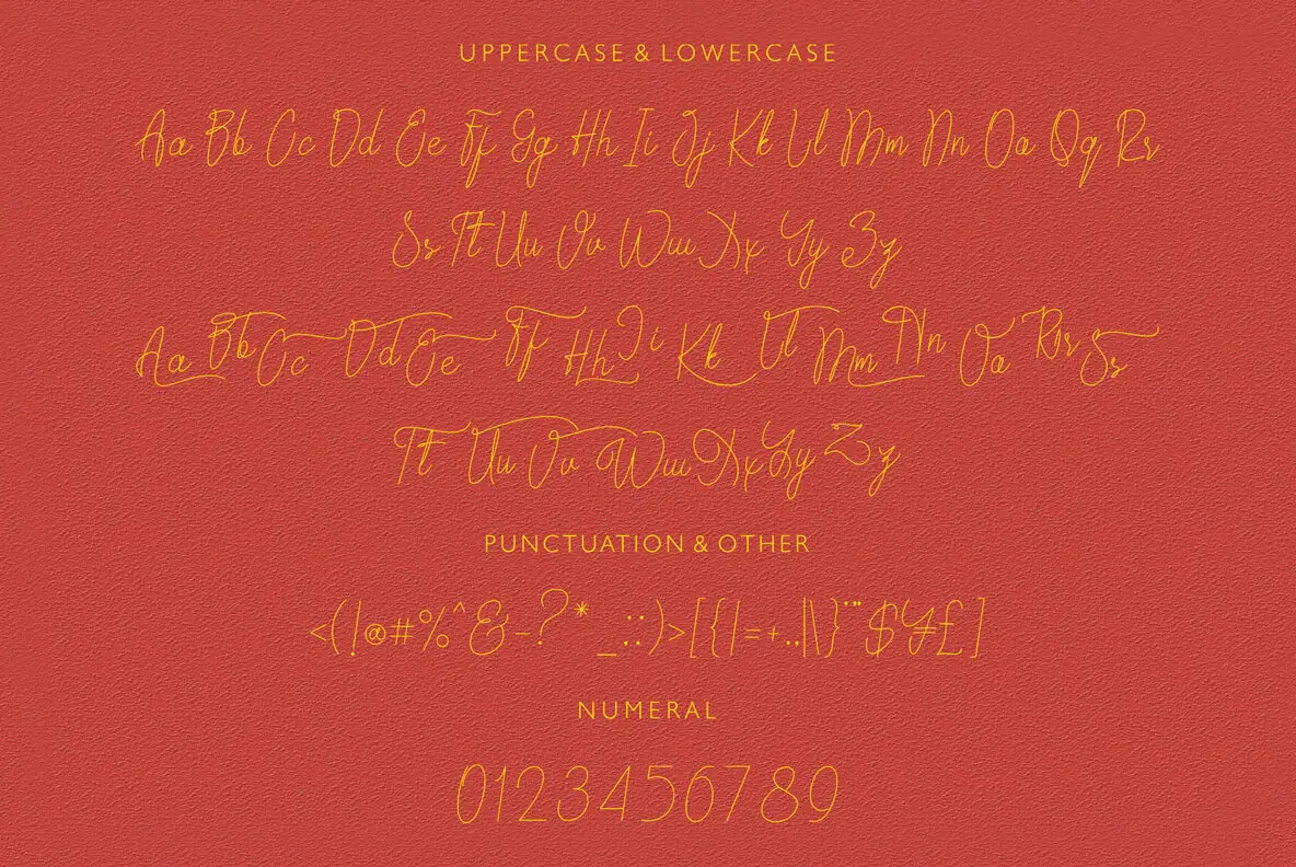 Elena Script Font - YouWorkForThem