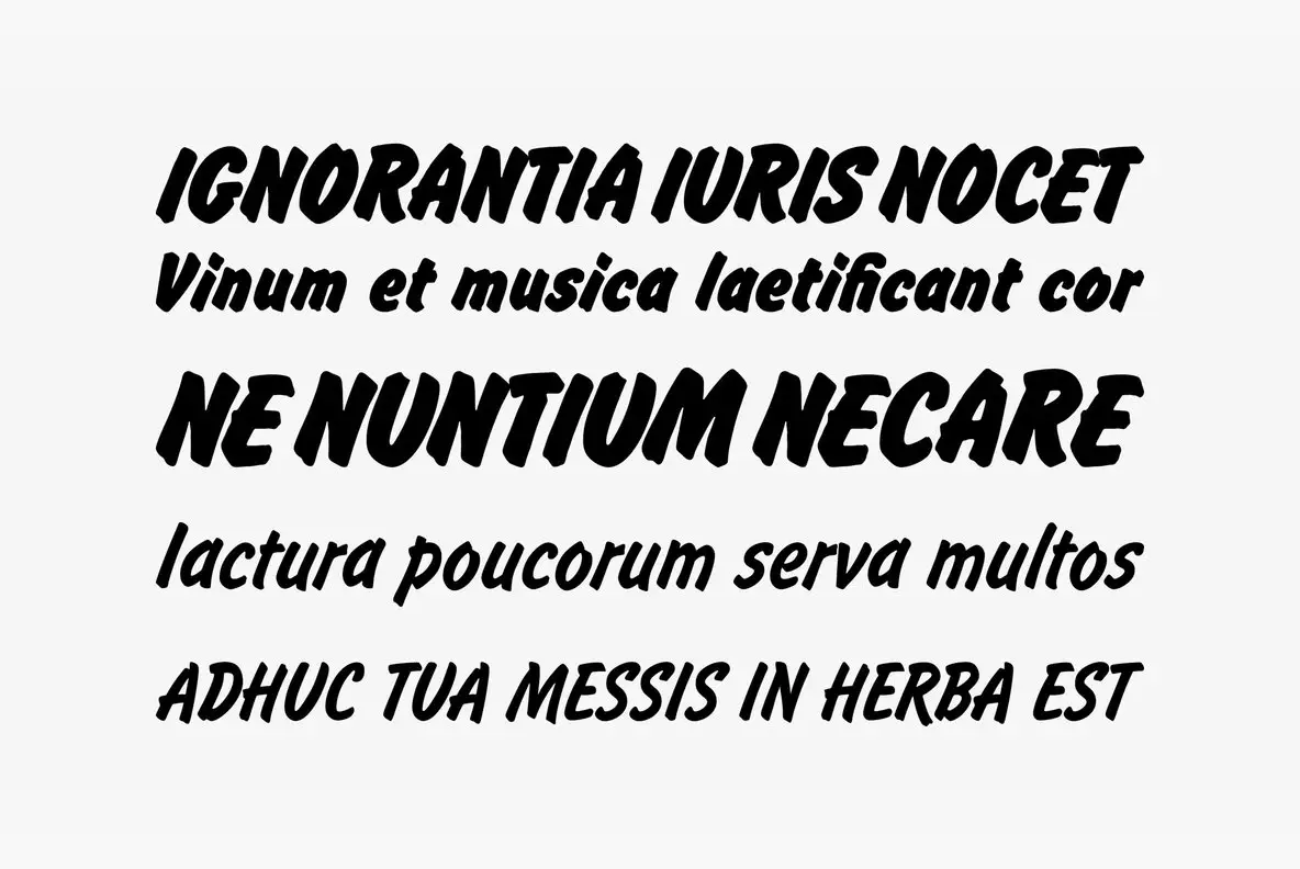 Flash Font - FontPath