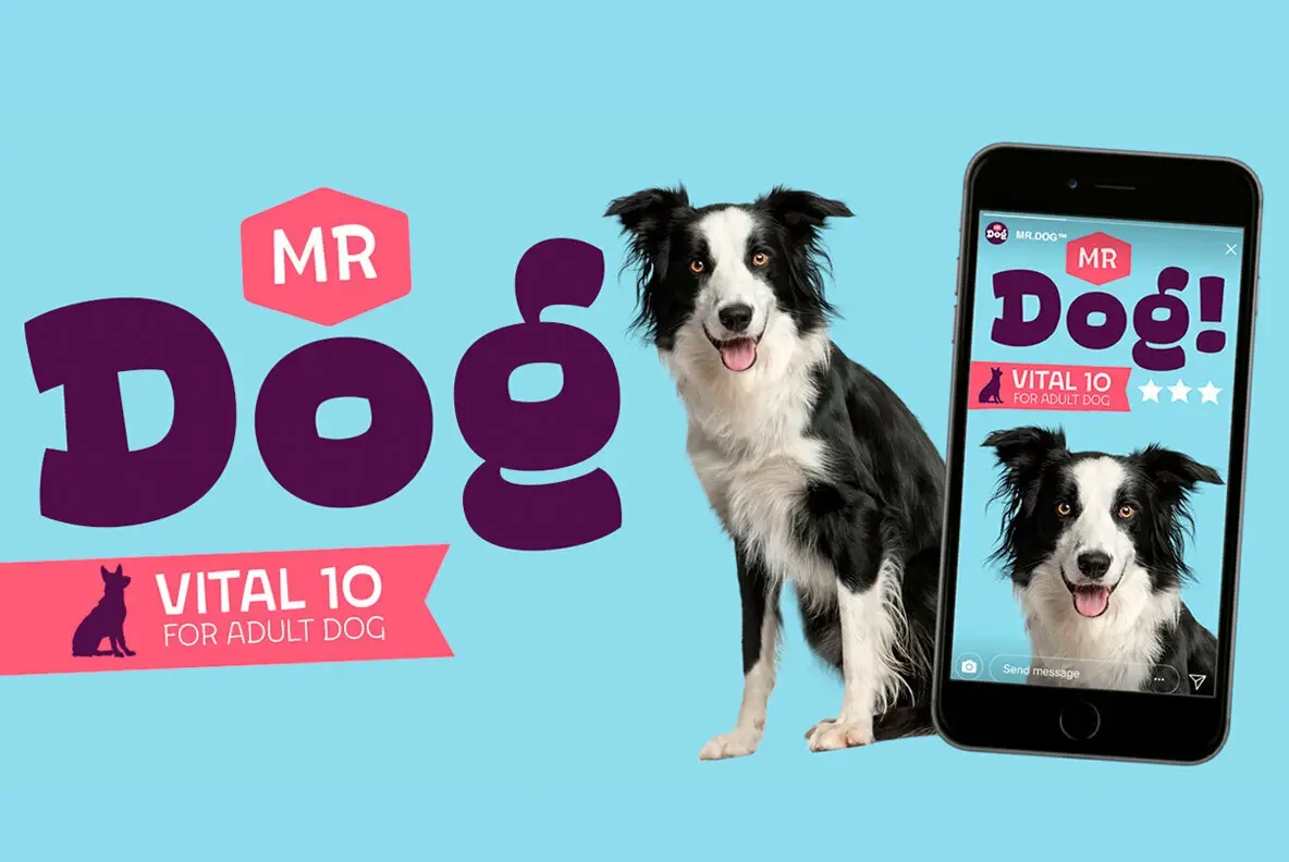 Ding Pro Font - YouWorkForThem