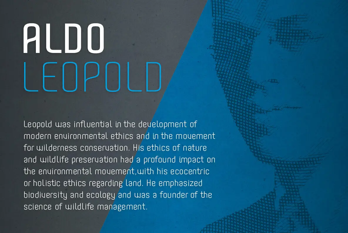 Aldo Pro Font - FontPath