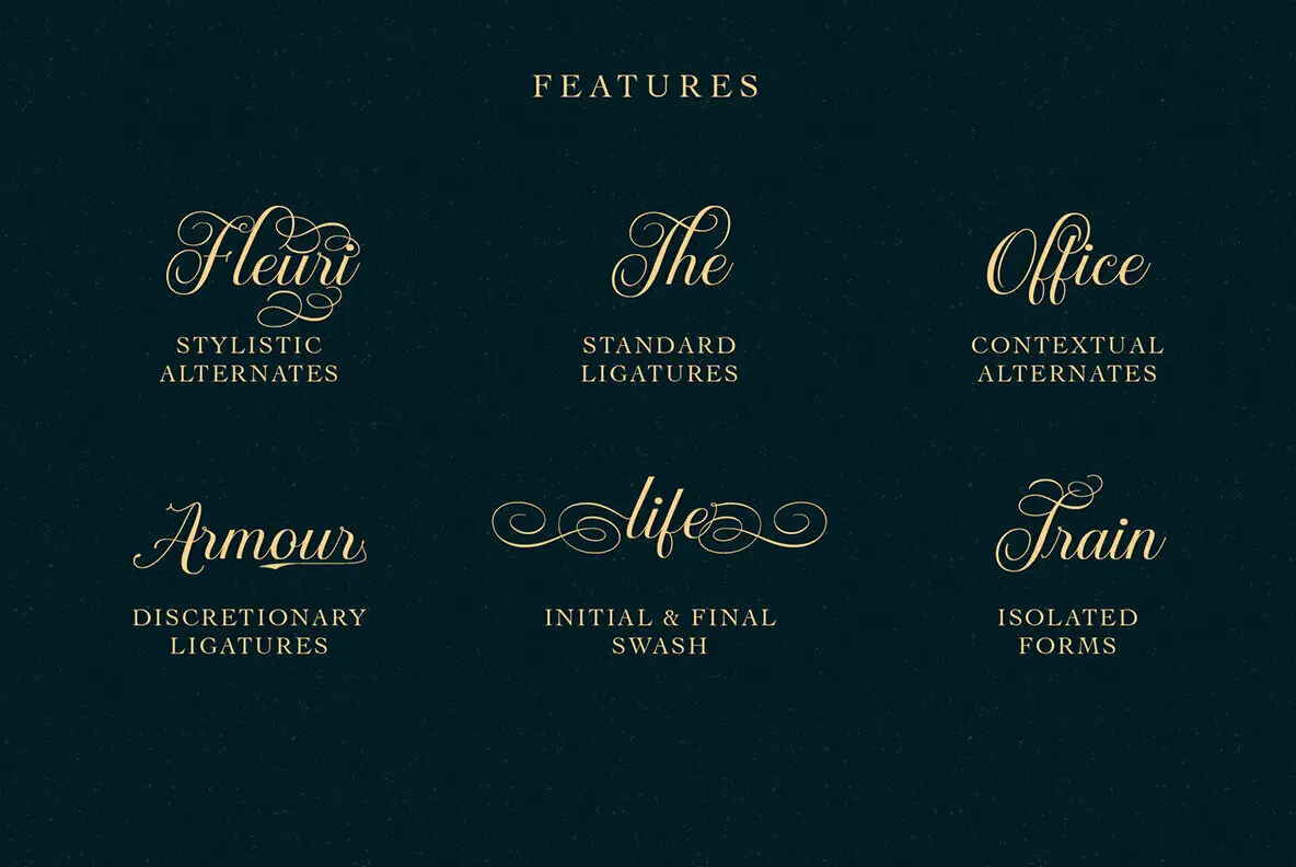 Brignola Font - YouWorkForThem