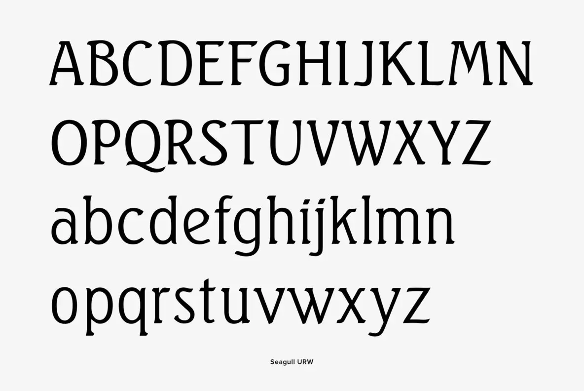 Seagull Font - YouWorkForThem