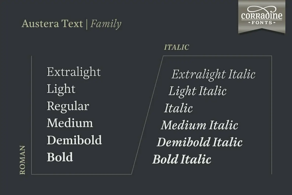 Austera Text Font - YouWorkForThem