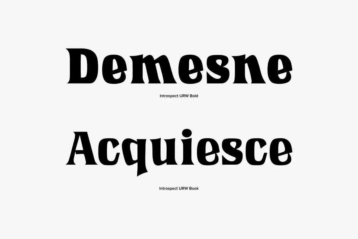 Introspect Font - YouWorkForThem