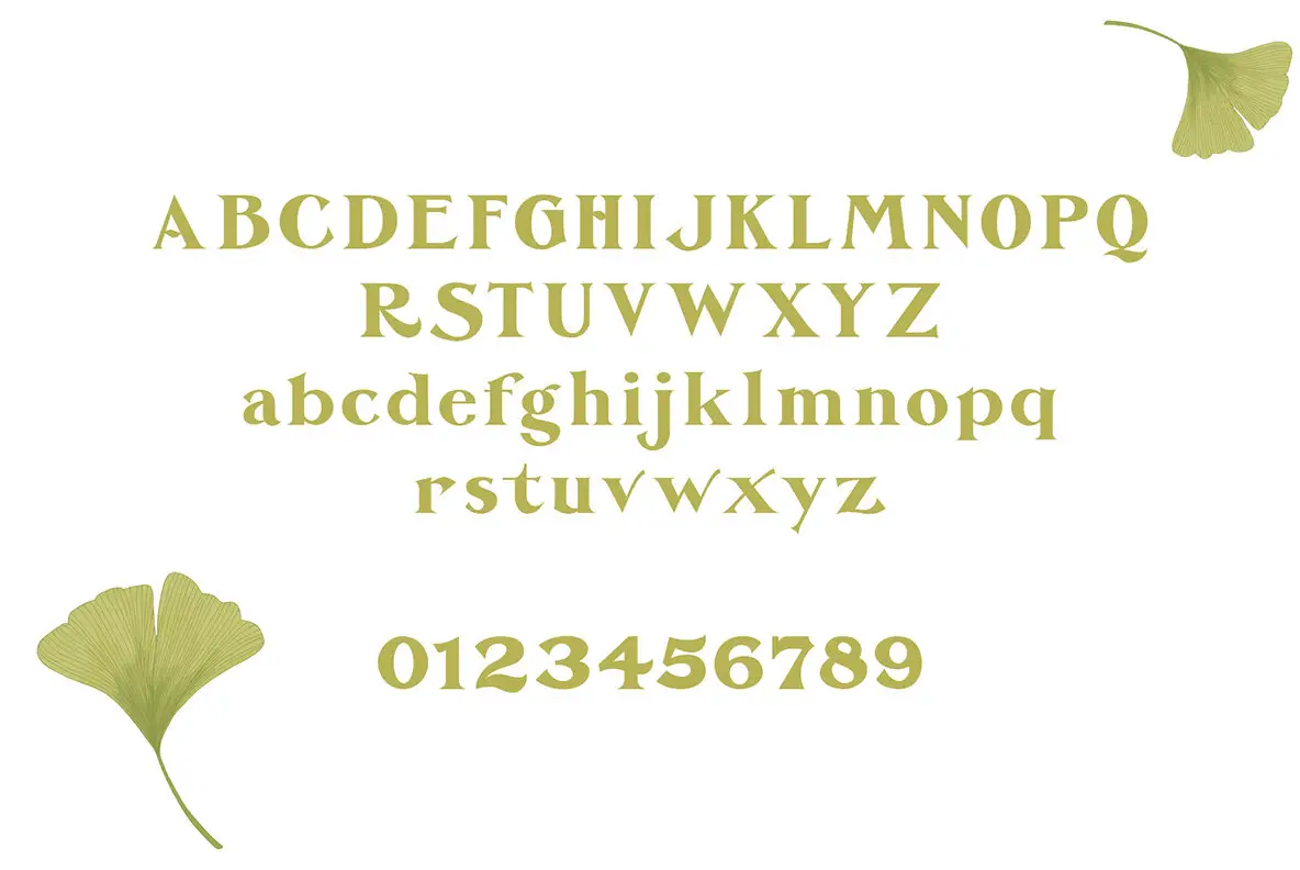 De Ginkgo Font - YouWorkForThem