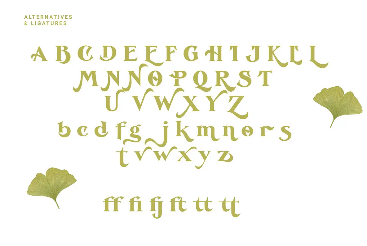 De Ginkgo Font - YouWorkForThem