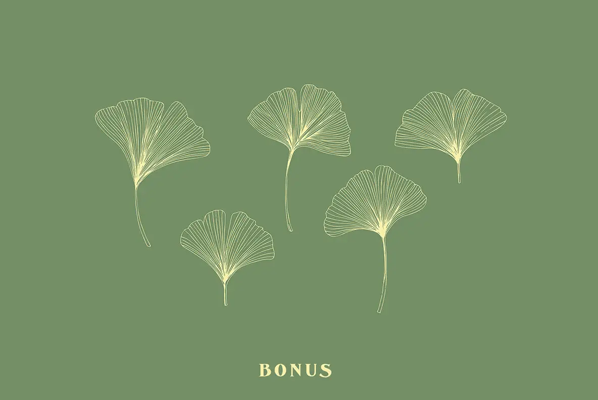 De Ginkgo Font - YouWorkForThem