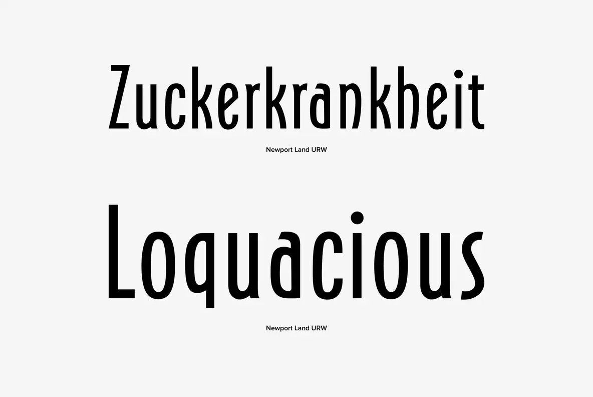 Newport Land Font - YouWorkForThem