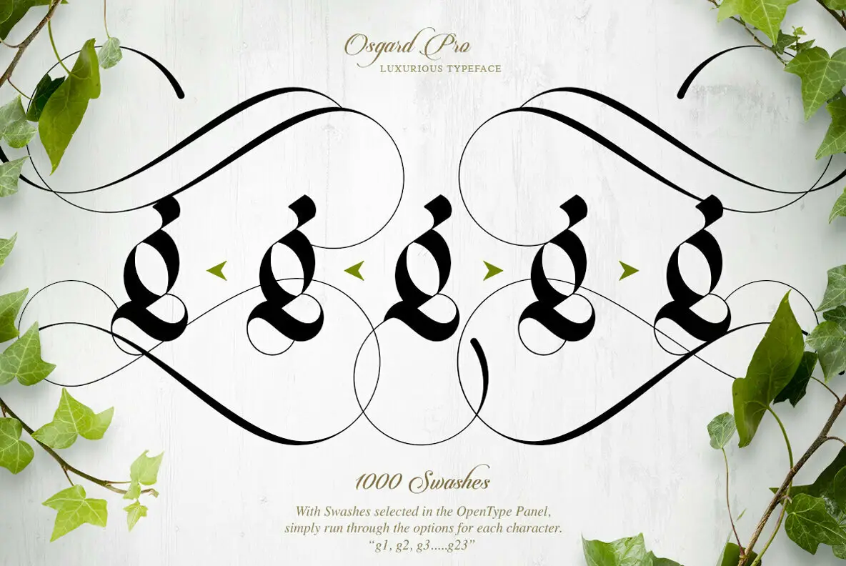 Osgard Pro Font - YouWorkForThem