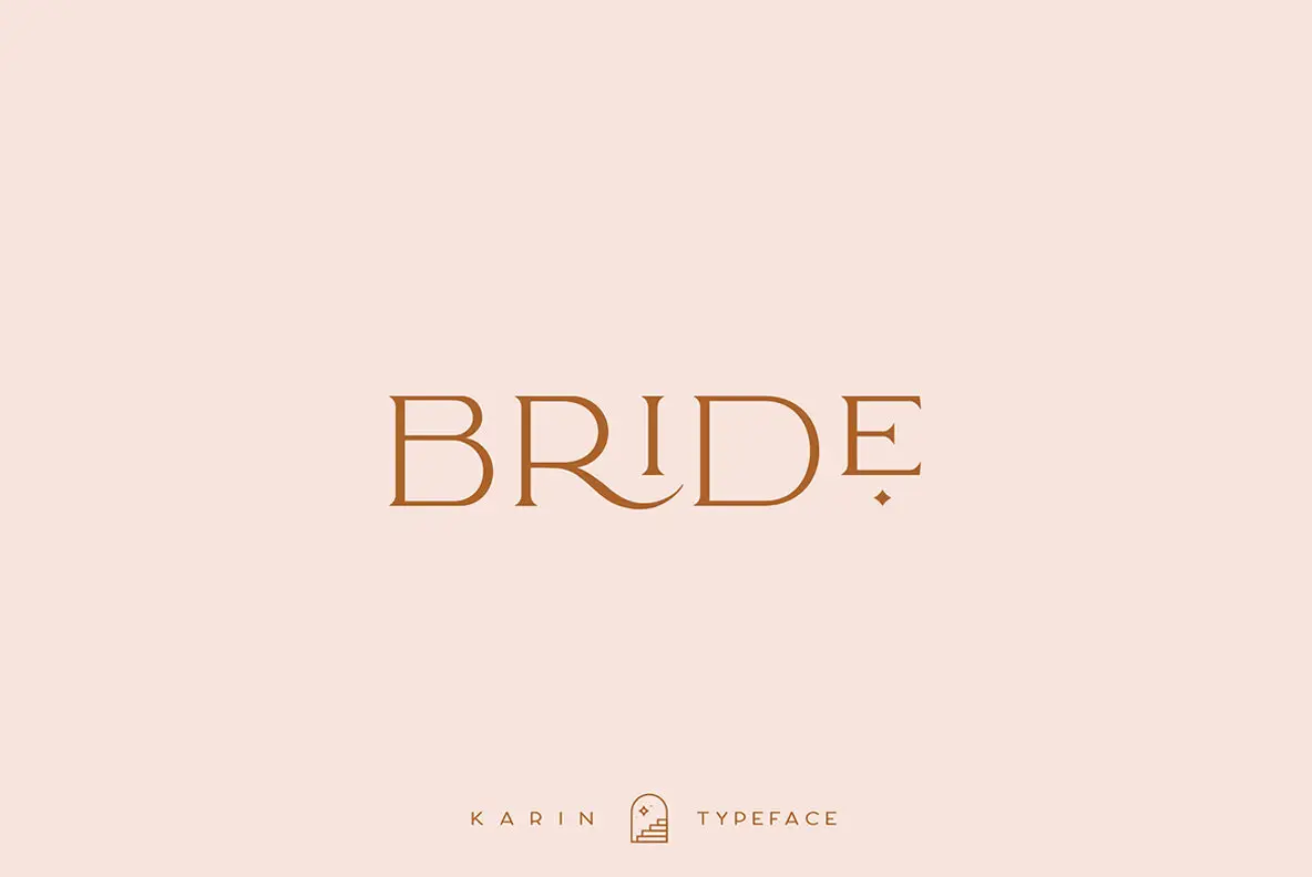 Elegant Karin Font - YouWorkForThem