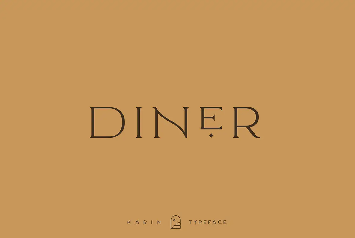 Elegant Karin Font - YouWorkForThem