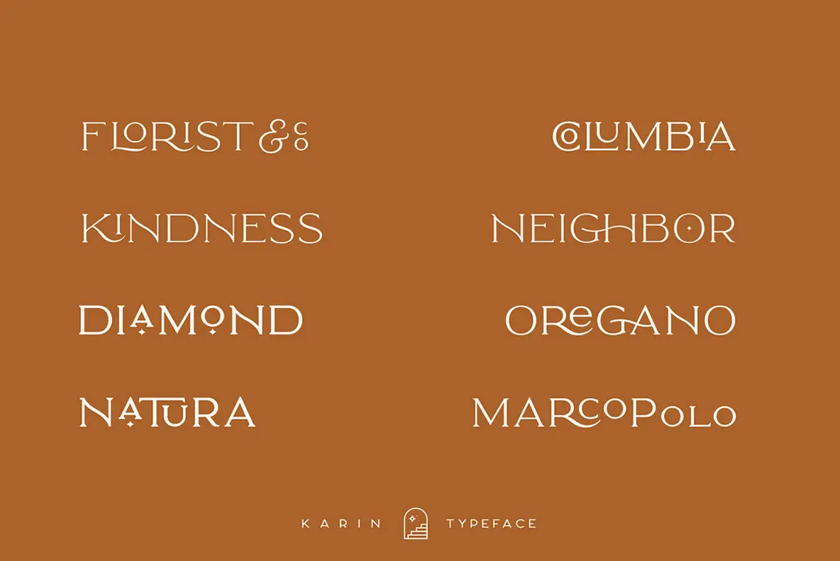 Elegant Karin Font - YouWorkForThem