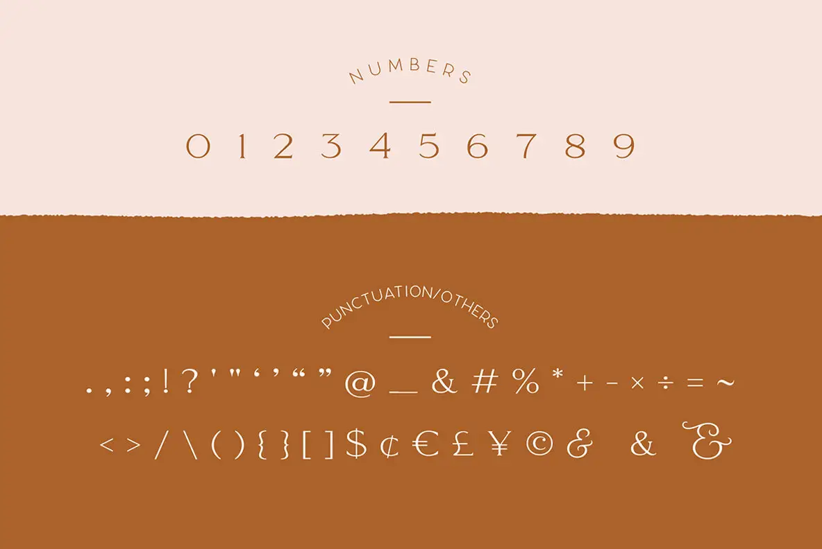 Elegant Karin Font - YouWorkForThem