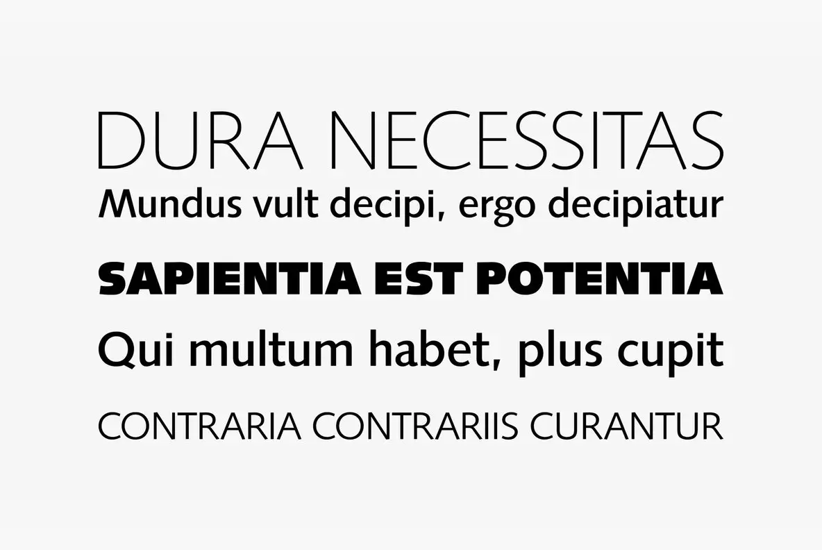 Syntax Series Font - YouWorkForThem