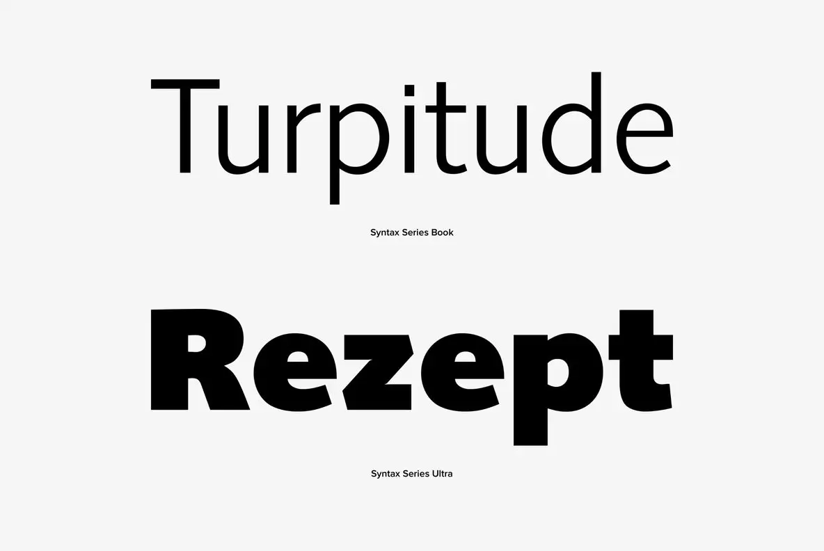 Syntax Series Font - YouWorkForThem