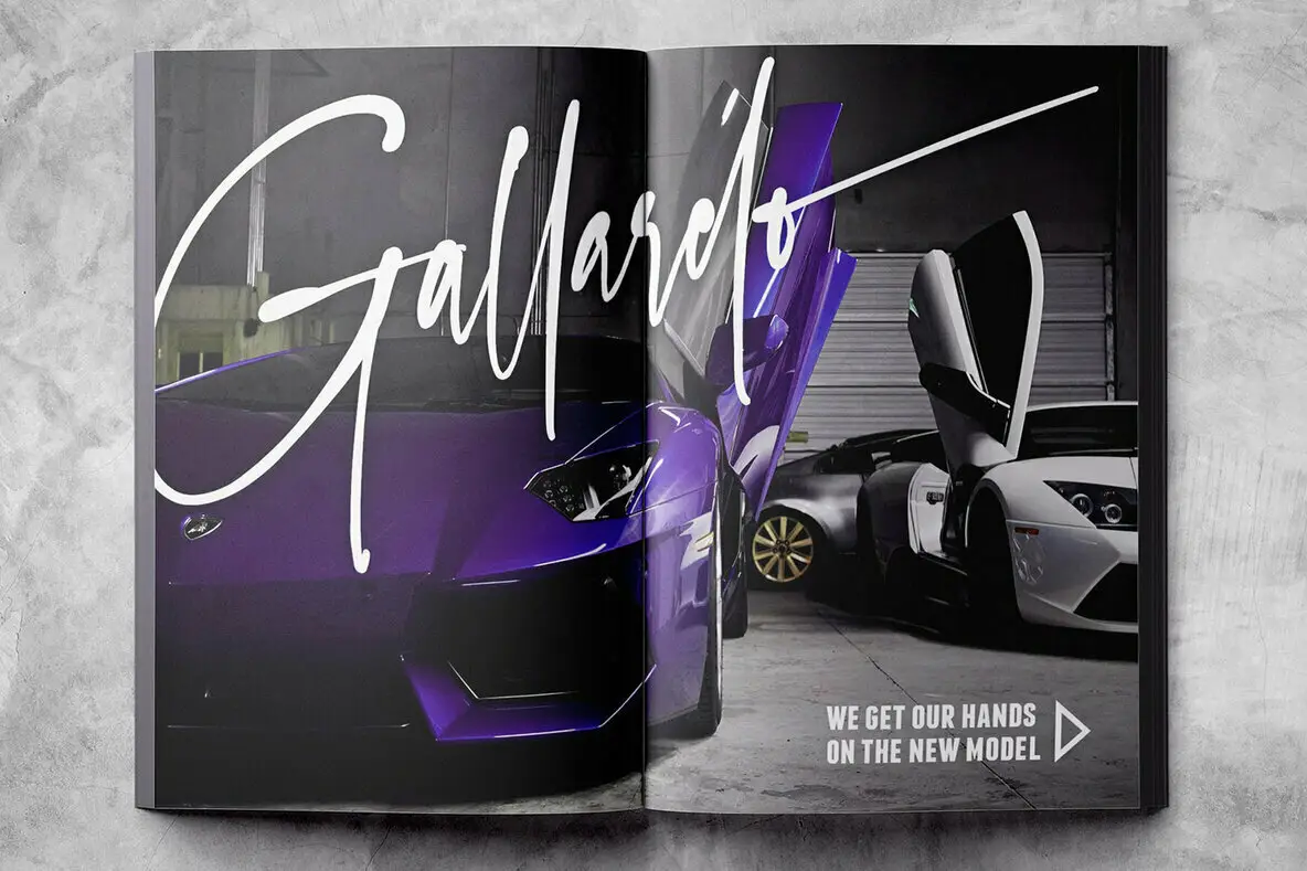 Checkpoint Signature Font - FontPath