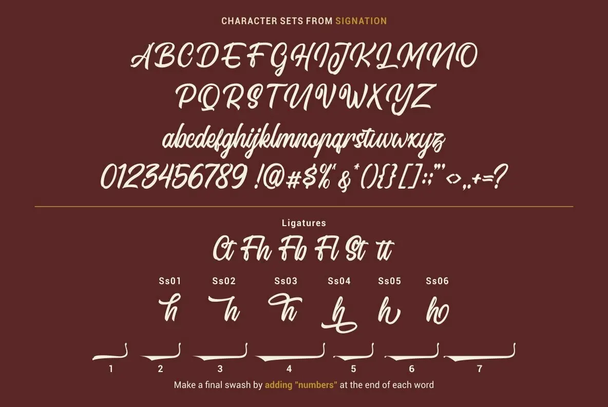 Signation Font - YouWorkForThem