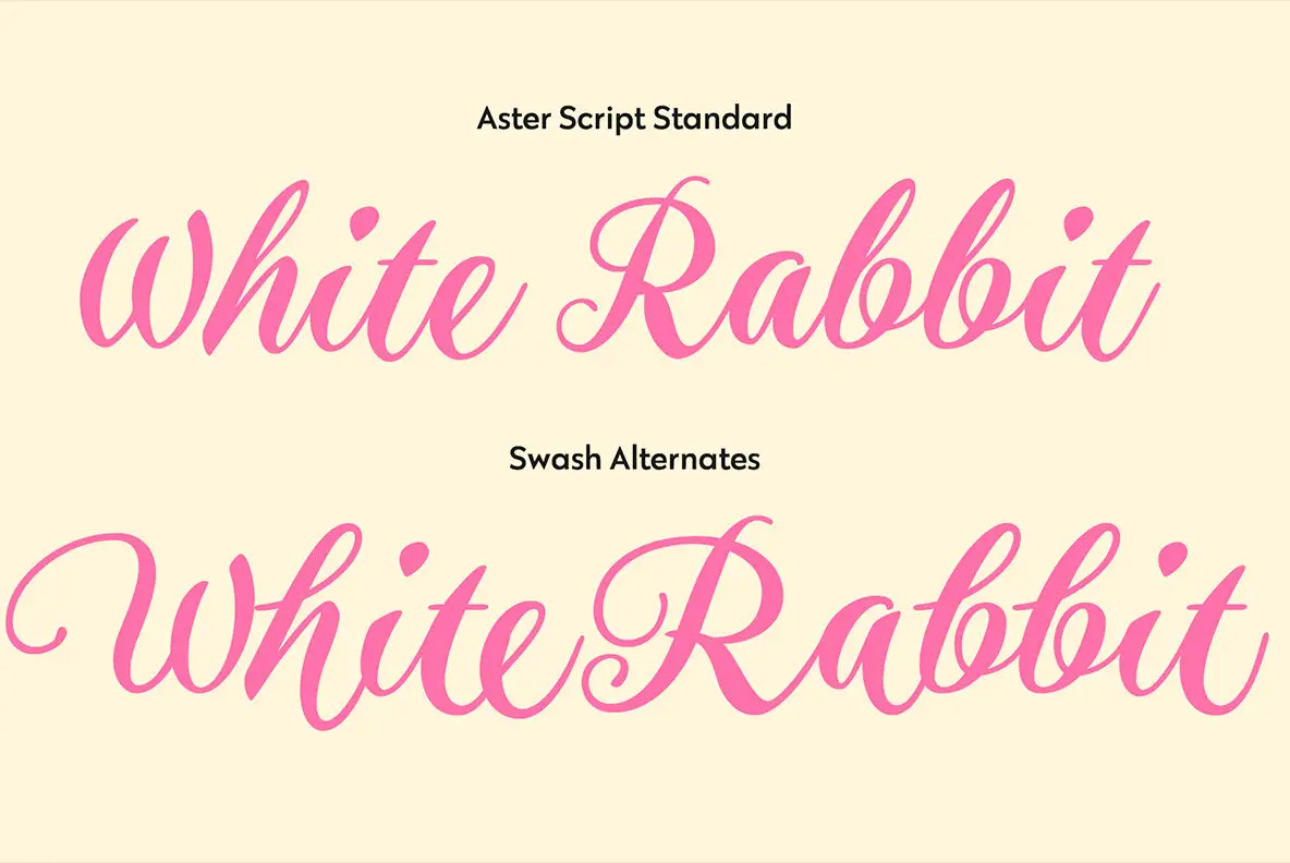 Aster Script Font - YouWorkForThem