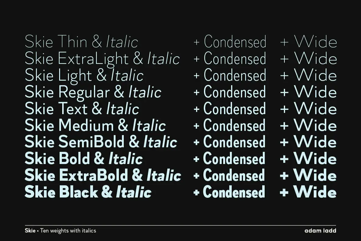 Skie Font - YouWorkForThem