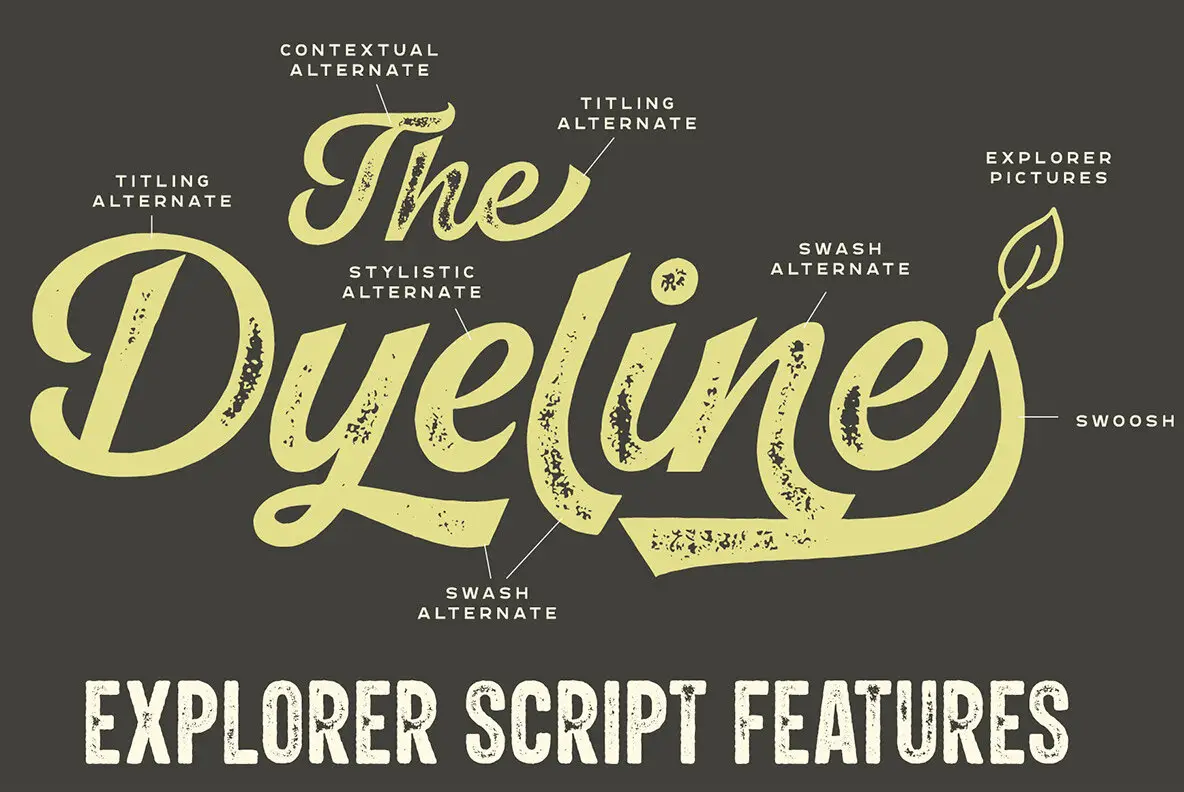 Explorer Font - YouWorkForThem