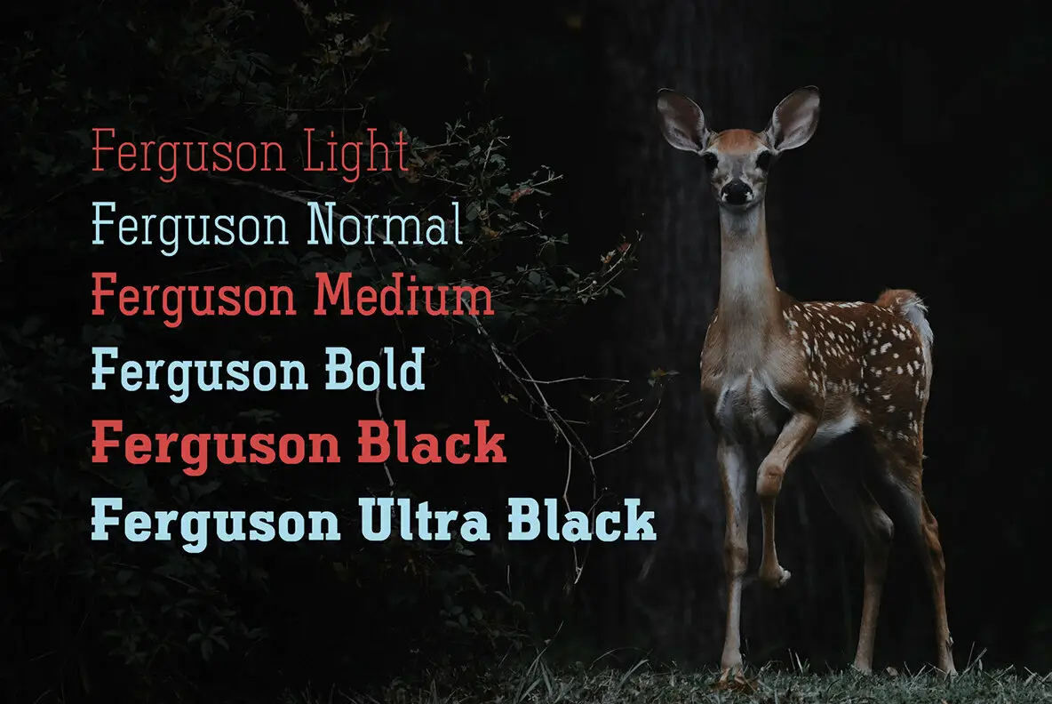 Ferguson Font - FontPath