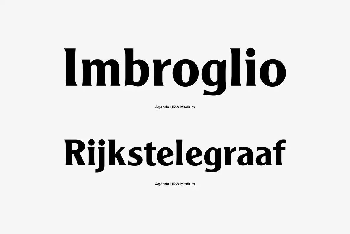 Agenda Font - YouWorkForThem