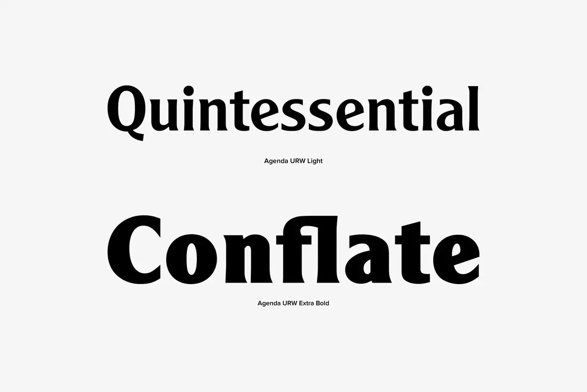 Agenda Font - YouWorkForThem