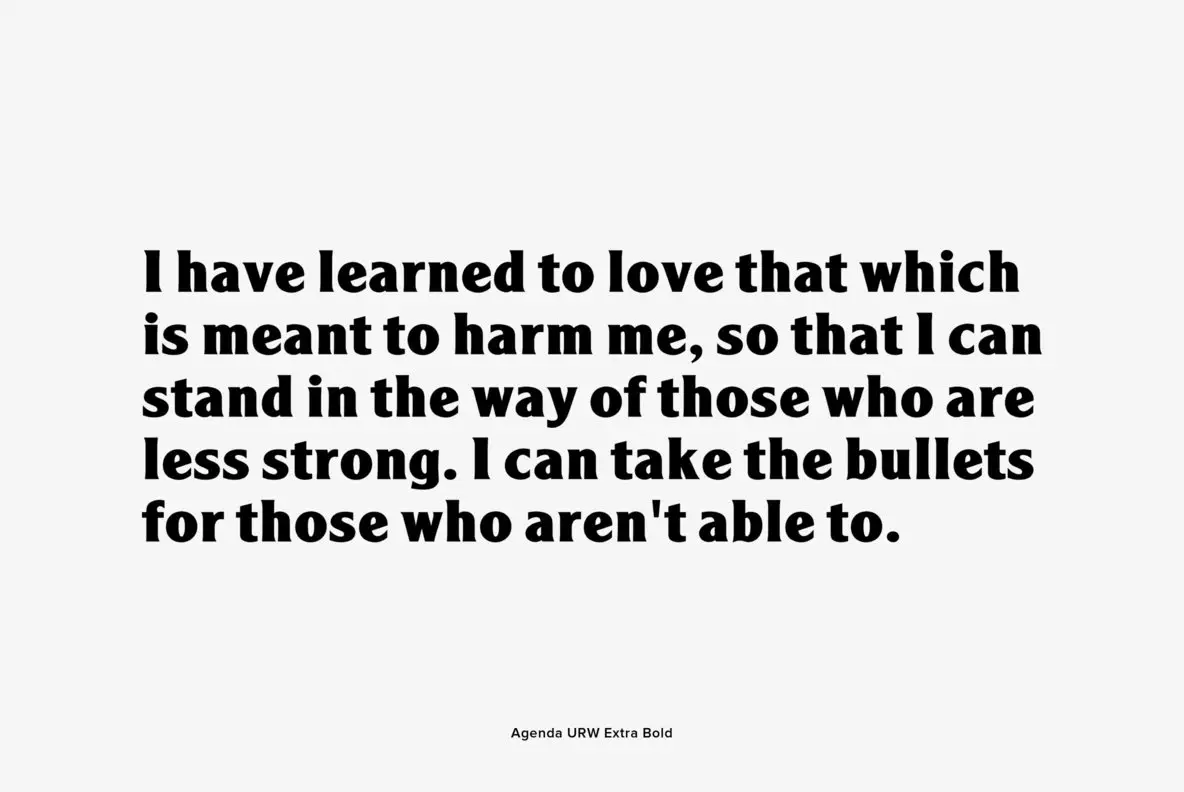 Agenda Font - YouWorkForThem