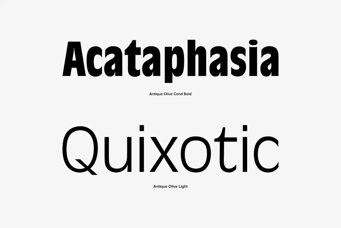 Antique Olive Font - YouWorkForThem