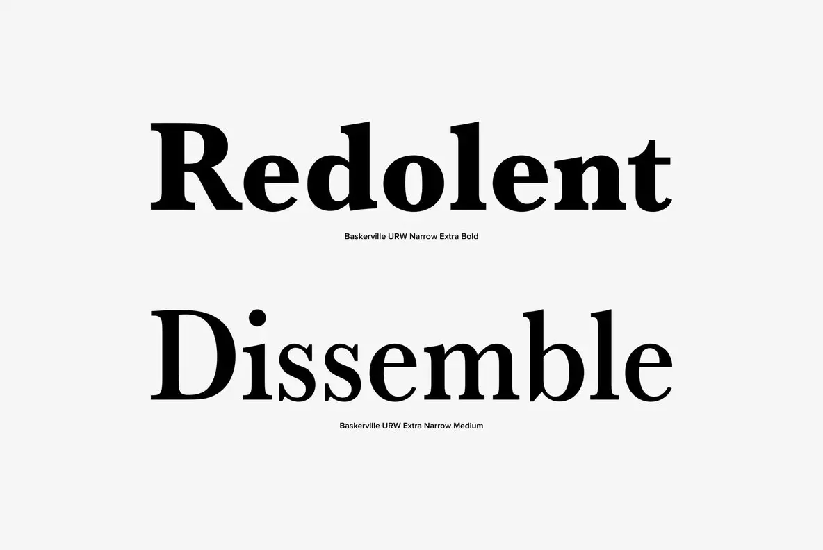 URW Baskerville Font - YouWorkForThem