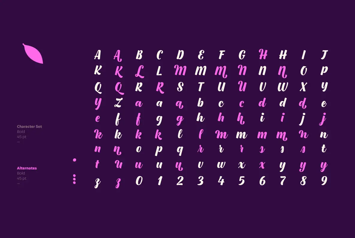 Cookery Font - YouWorkForThem