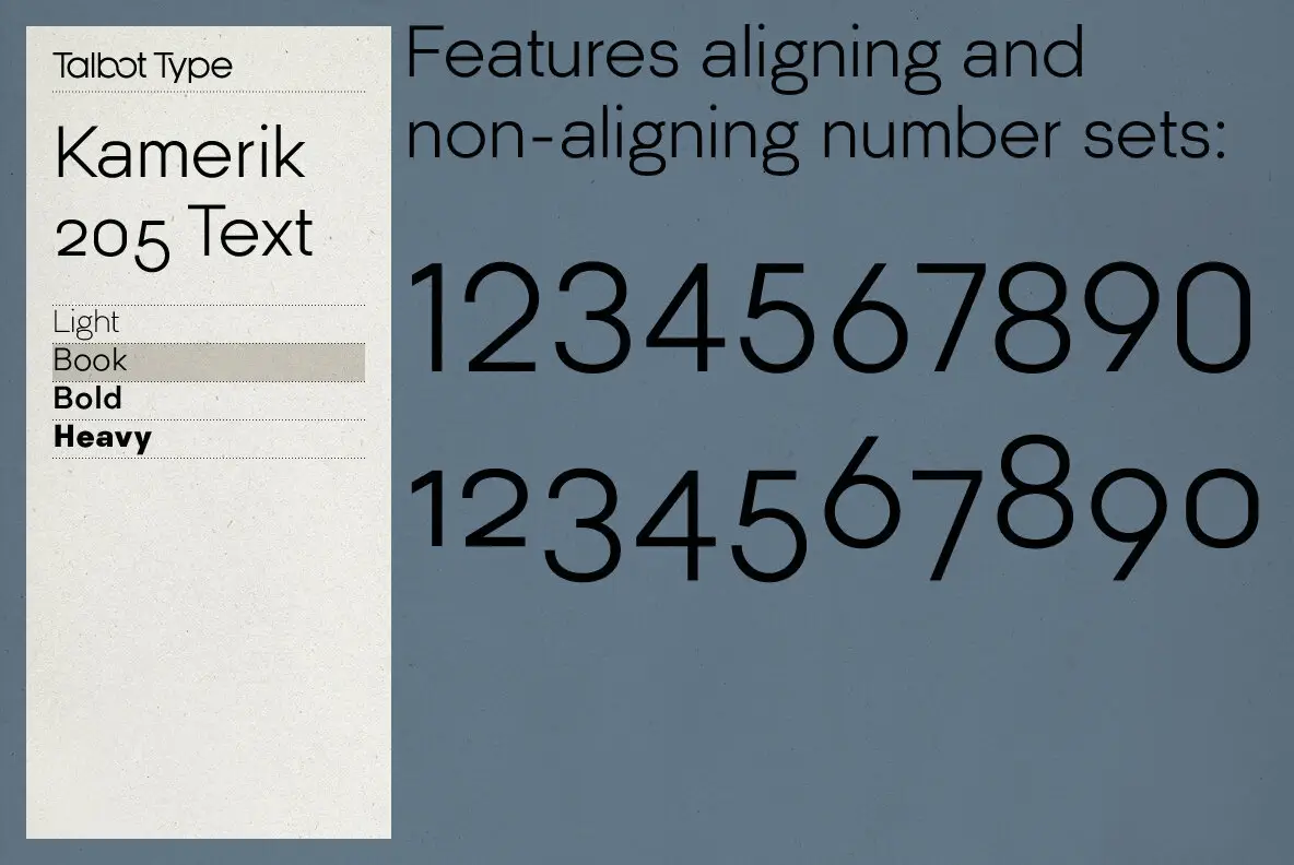 Kamerik 205 Text Font - YouWorkForThem