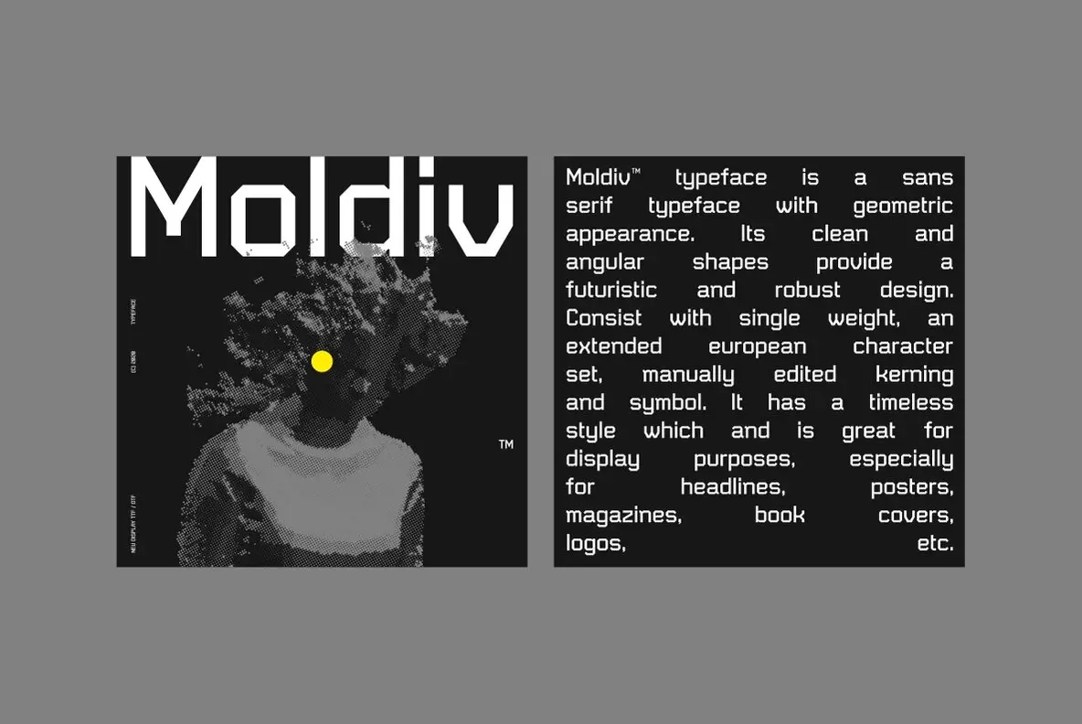 Moldiv Font - YouWorkForThem