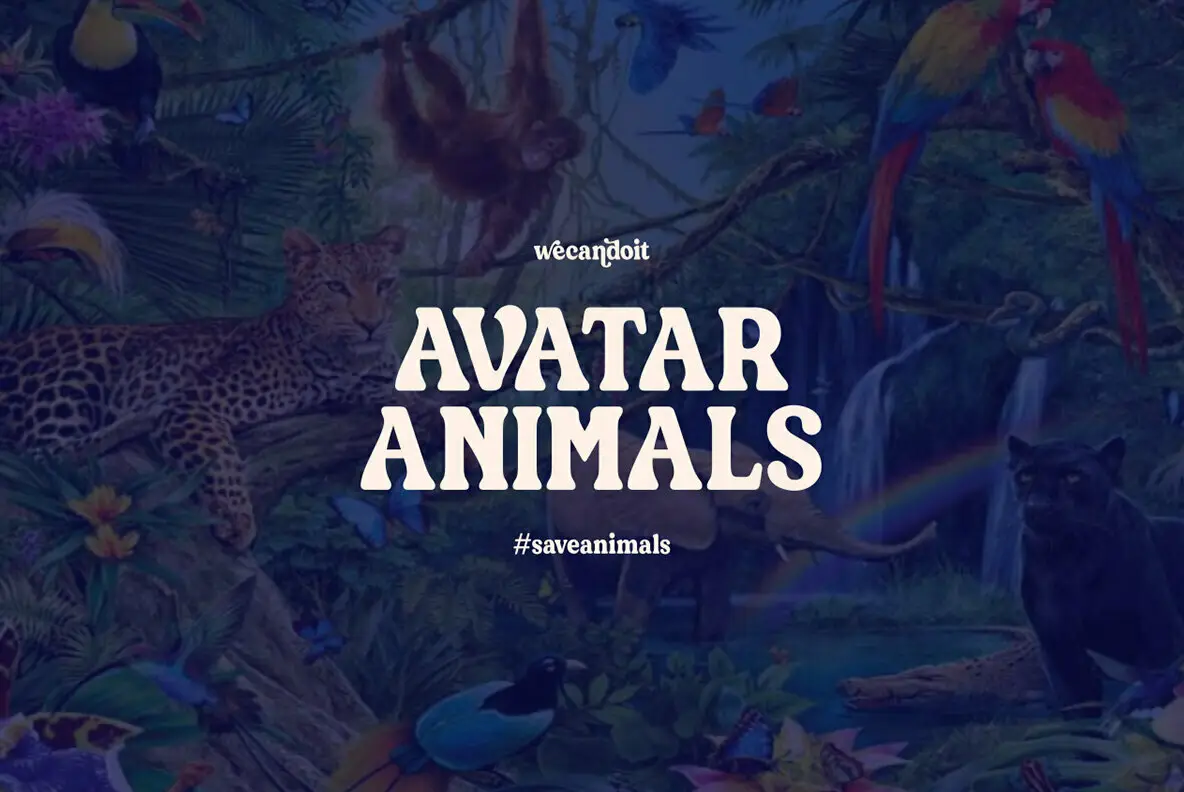 Kimchi Style Font - YouWorkForThem