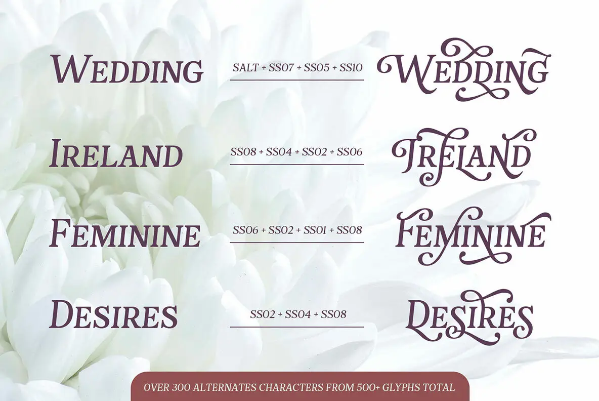 Savaneta Font - YouWorkForThem