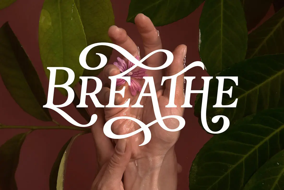 Savaneta Font - YouWorkForThem