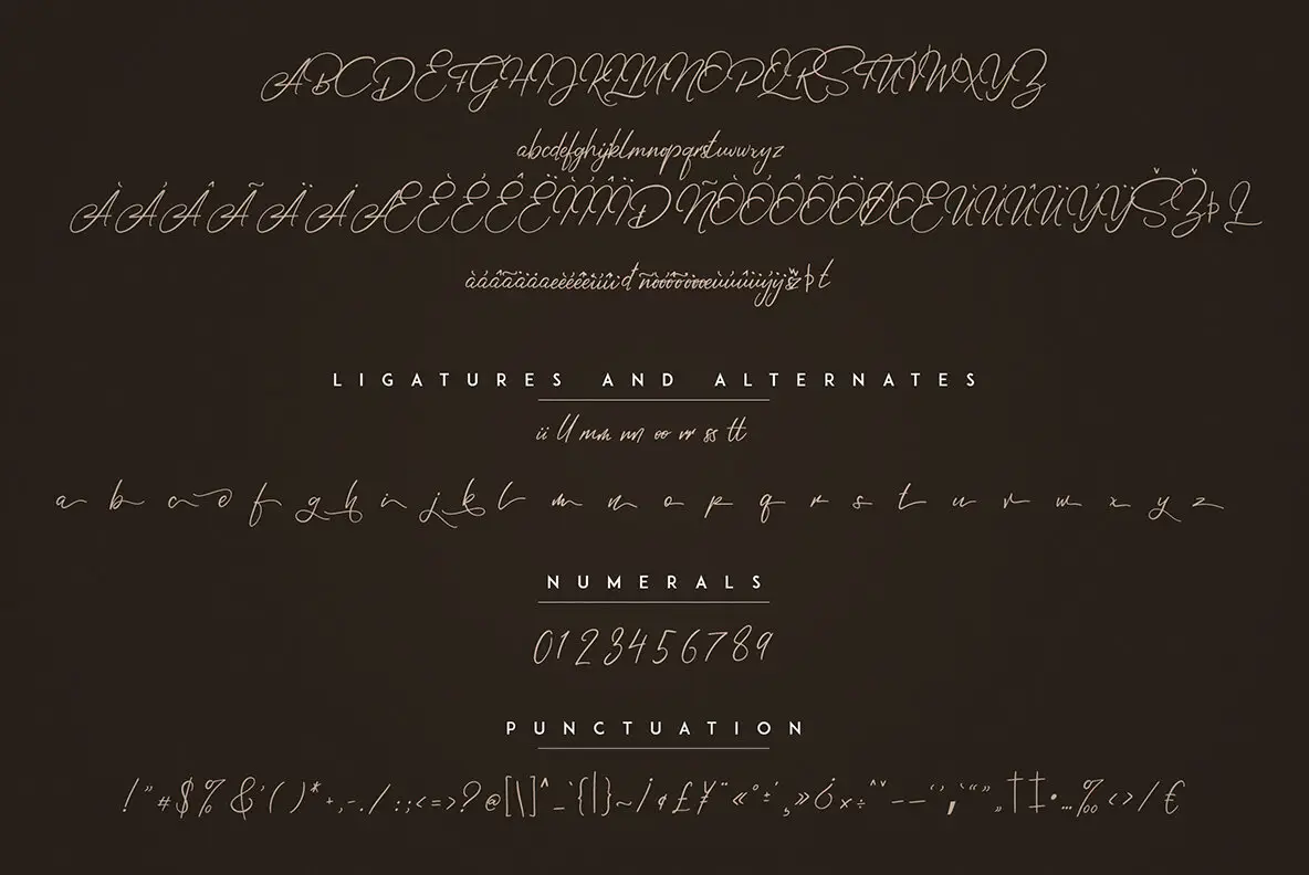 Elysian Script Font - YouWorkForThem