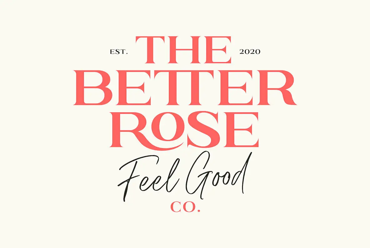 Brushine Collective Font - YouWorkForThem