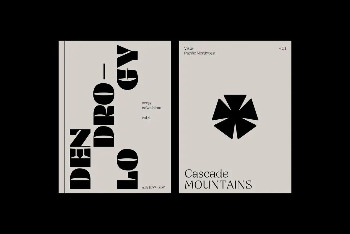 Tocco Font - YouWorkForThem