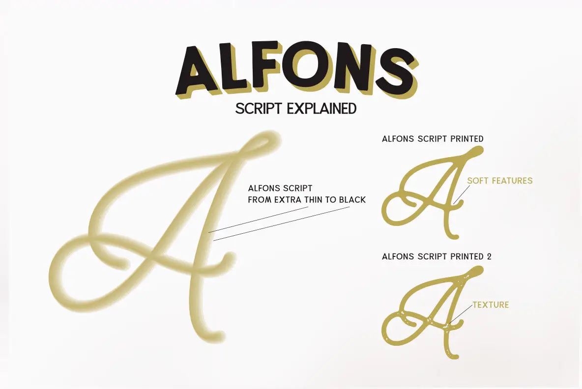 Alfons Font - YouWorkForThem