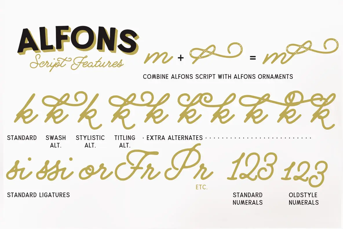 Alfons Font - YouWorkForThem