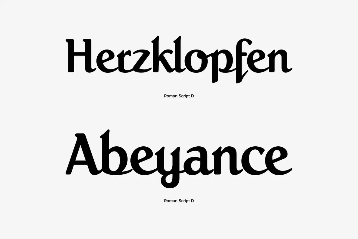 Roman Script Font - YouWorkForThem